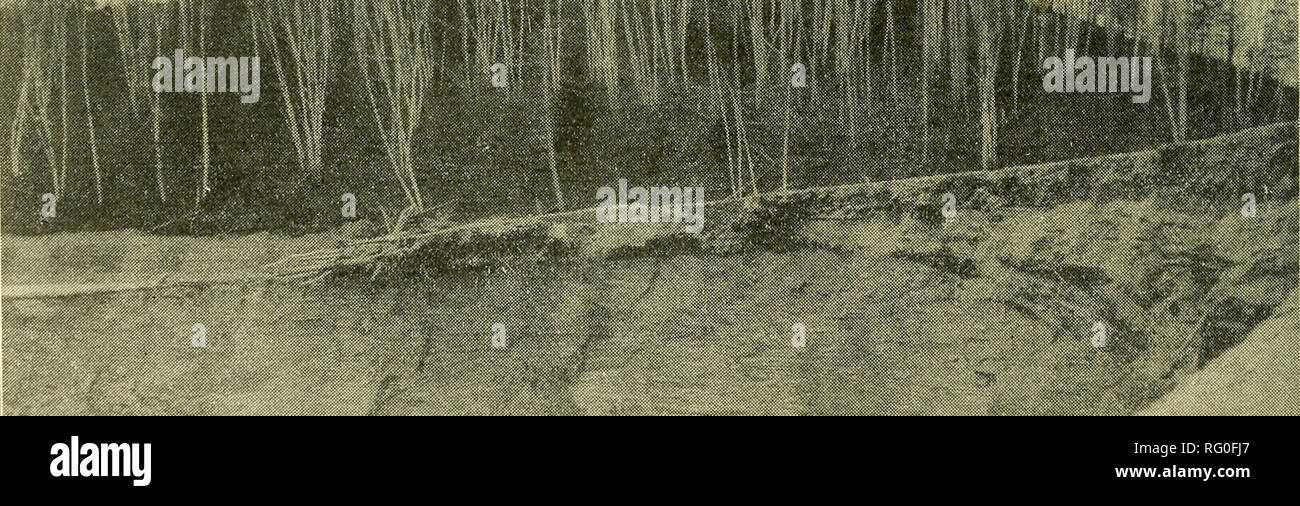 Varved clay hi-res stock photography and images - Alamy