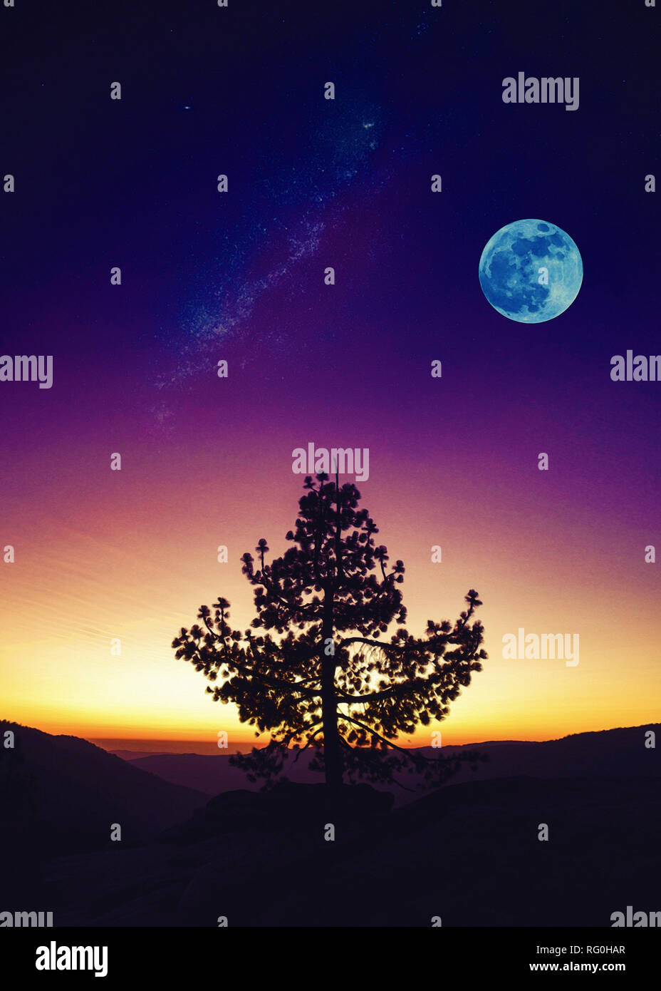 Branch grass hi-res stock photography and images - Alamy