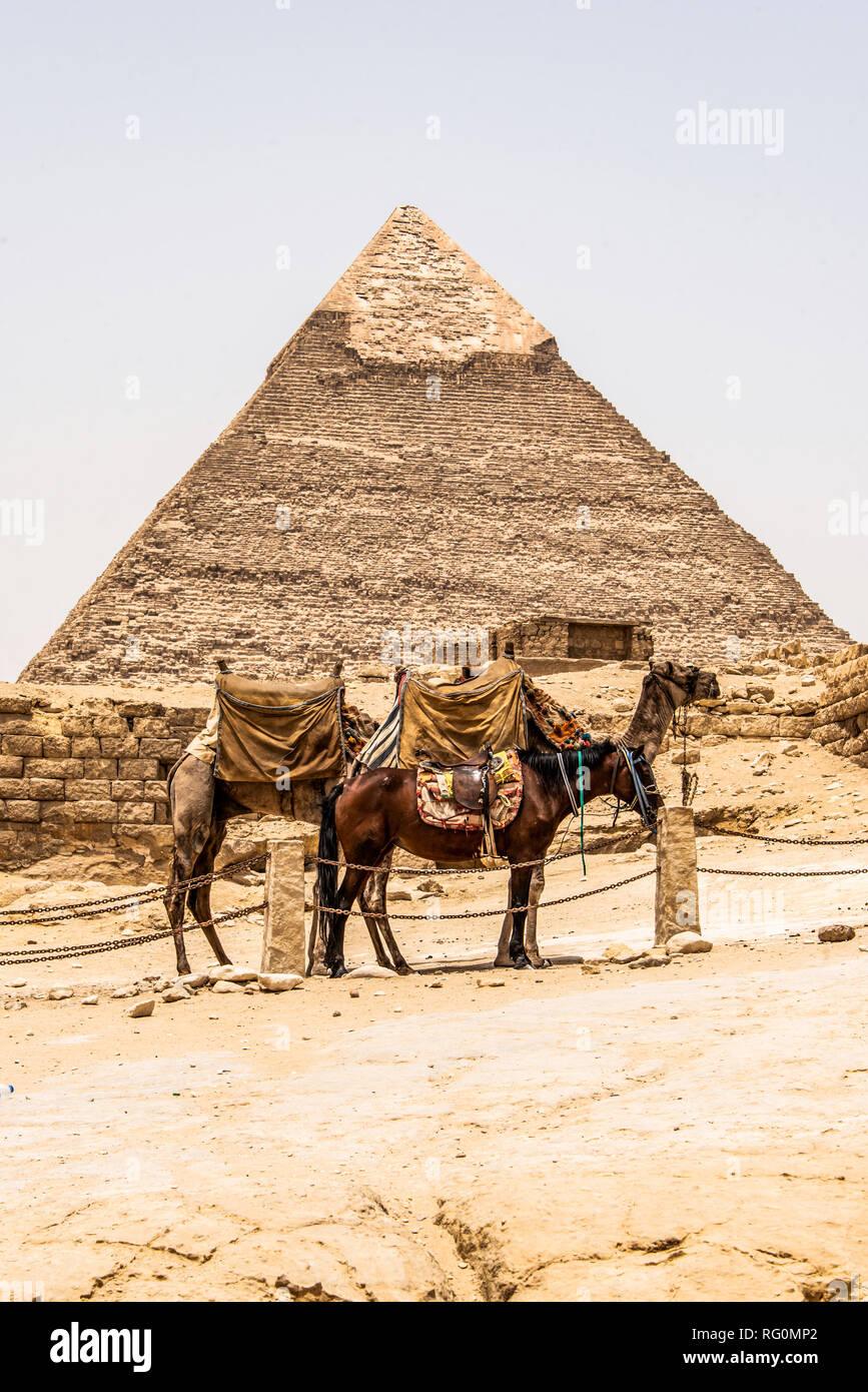 The Great Pyramids of Giza in the desert near Cairo in Egypt unesco ...
