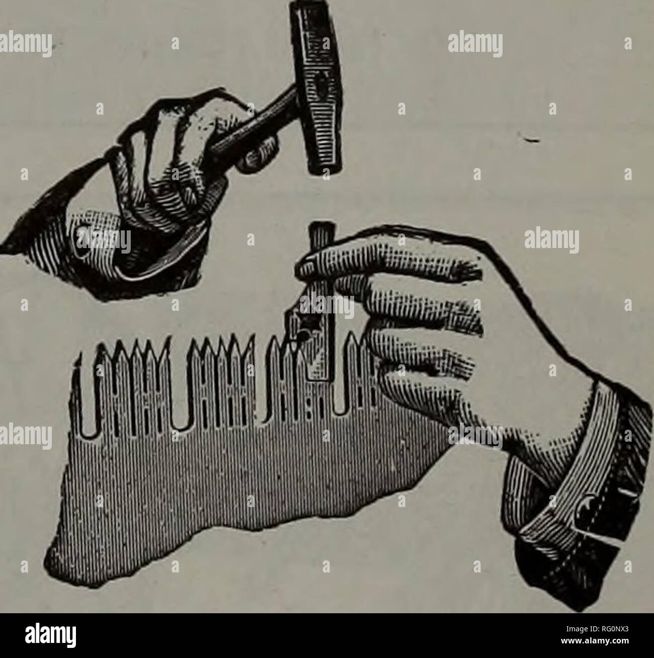 Bevel cut saw hi-res stock photography and images - Alamy