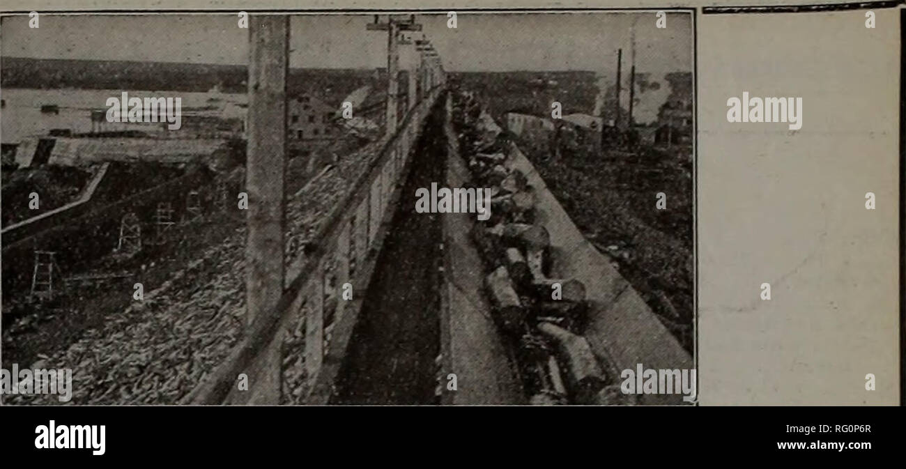 Edger t hi-res stock photography and images - Alamy