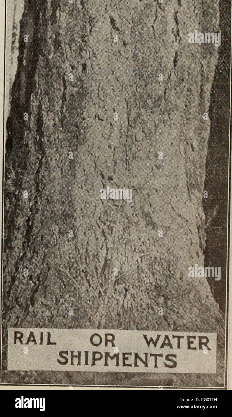 James tyrer hi-res stock photography and images - Alamy