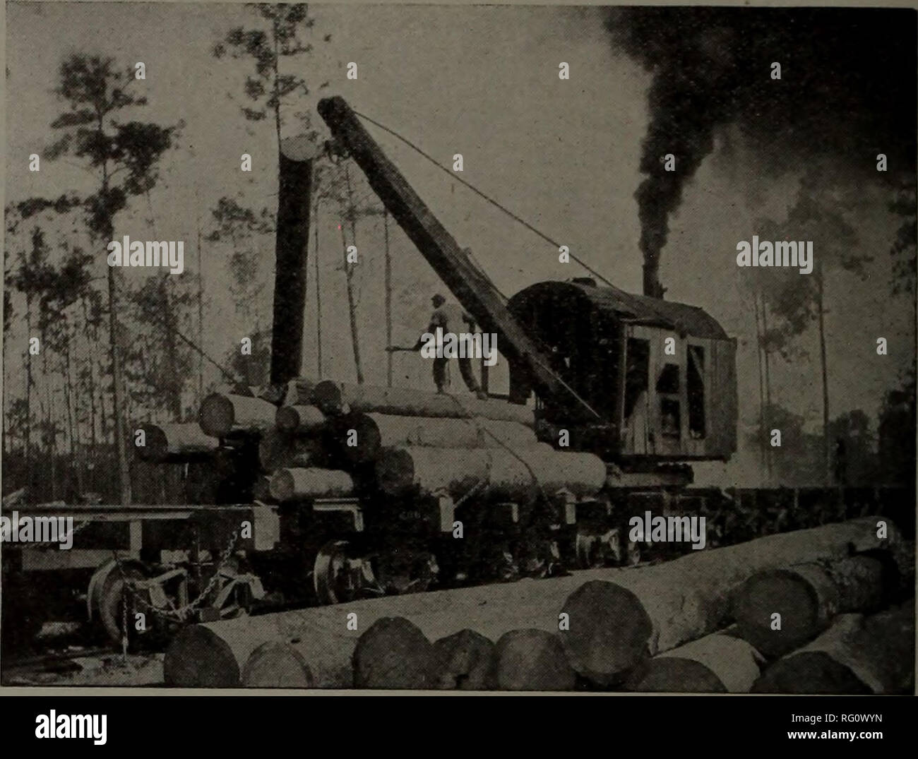 . Canadian forest industries 1911. Lumbering; Forests and forestry ...