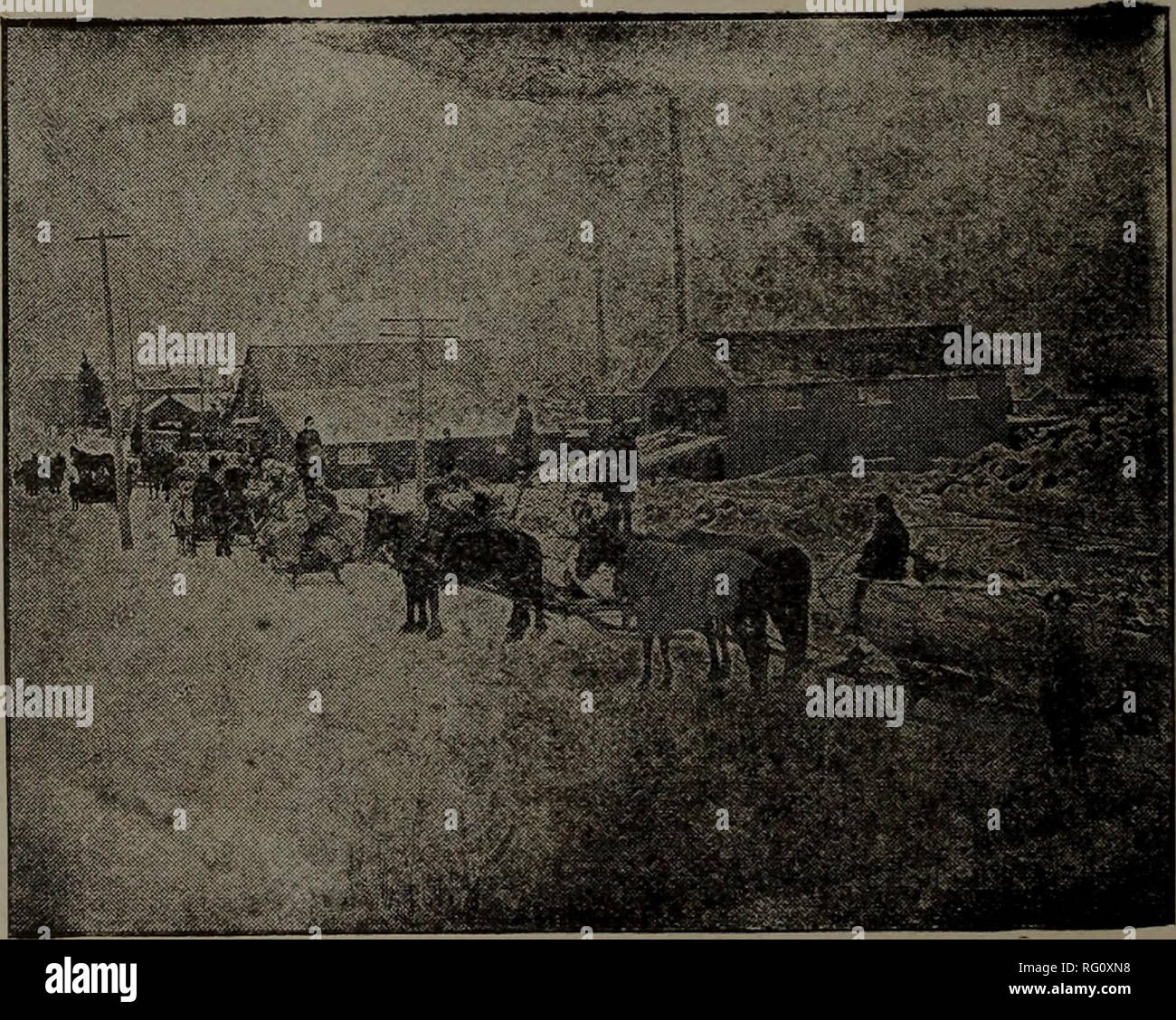 Fenelon falls hi-res stock photography and images - Alamy