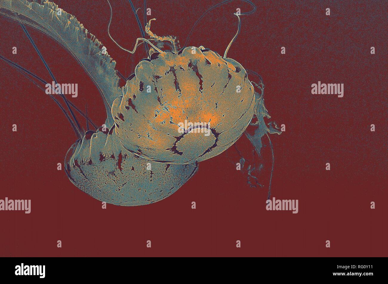 Two vector hi-res stock photography and images - Alamy