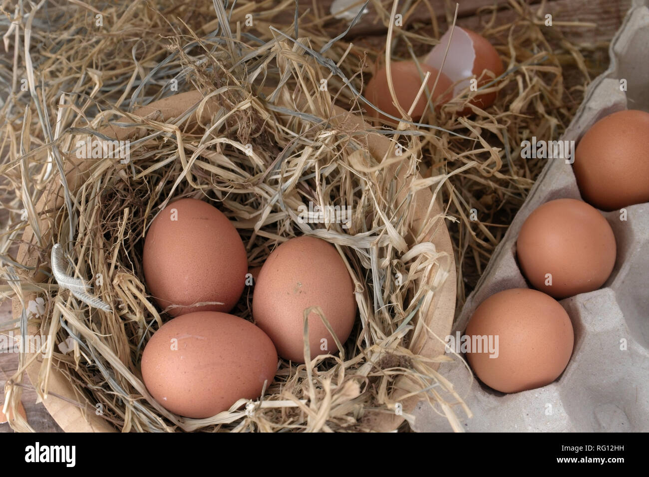 Eggs in nest Stock Photo - Alamy