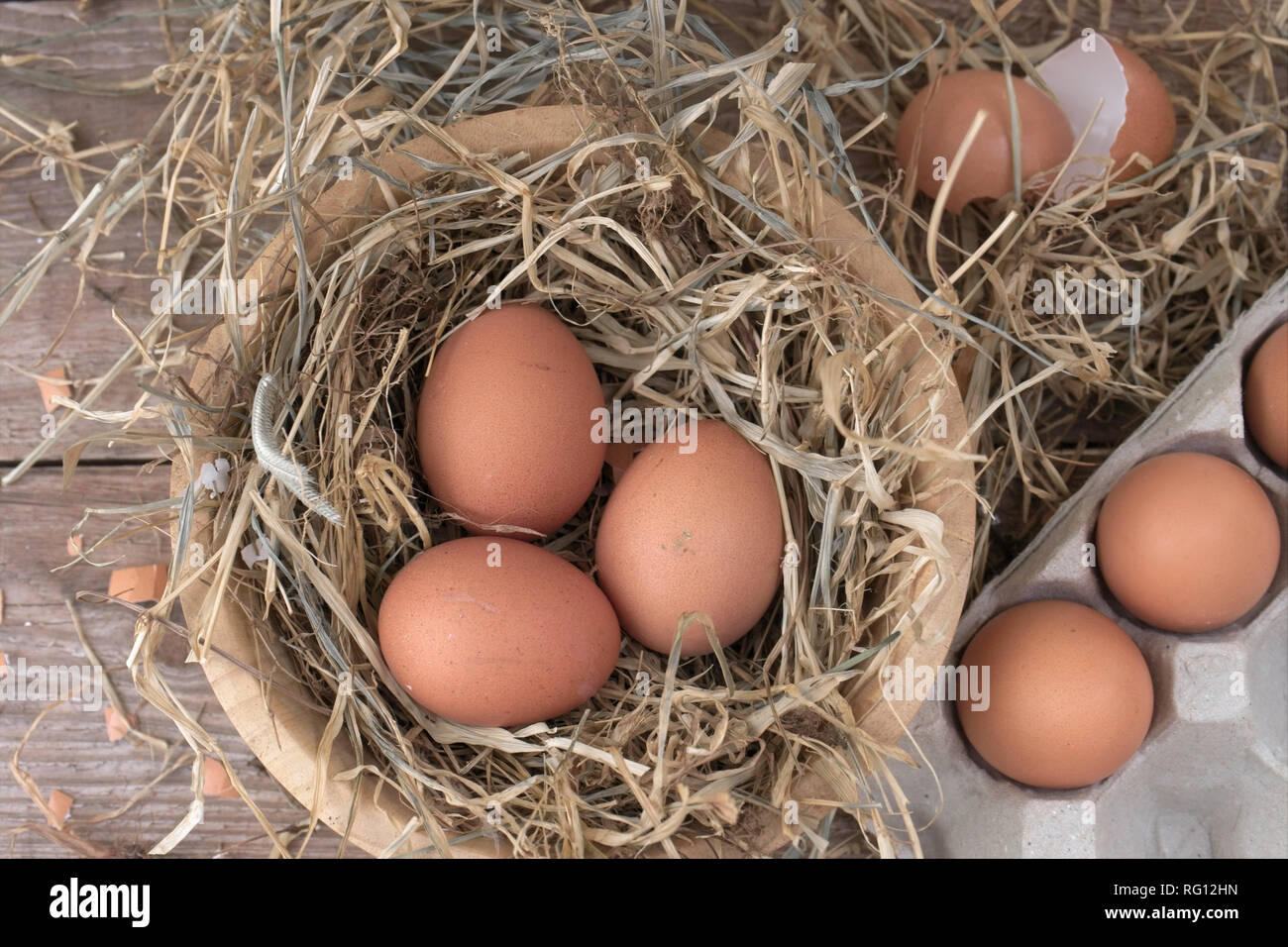 Eggs in nest Stock Photo - Alamy
