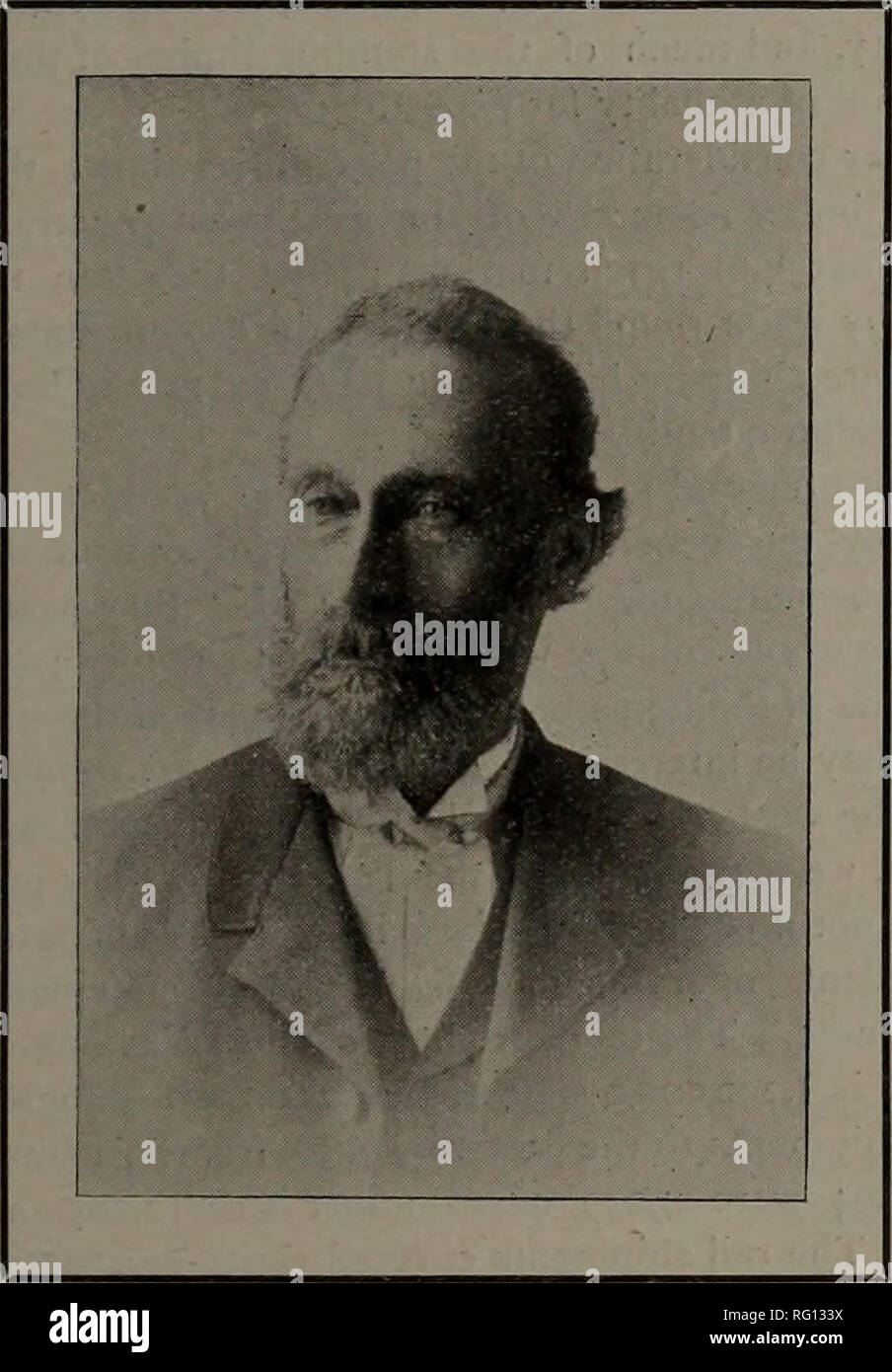 Forest ranger ii hi-res stock photography and images - Alamy