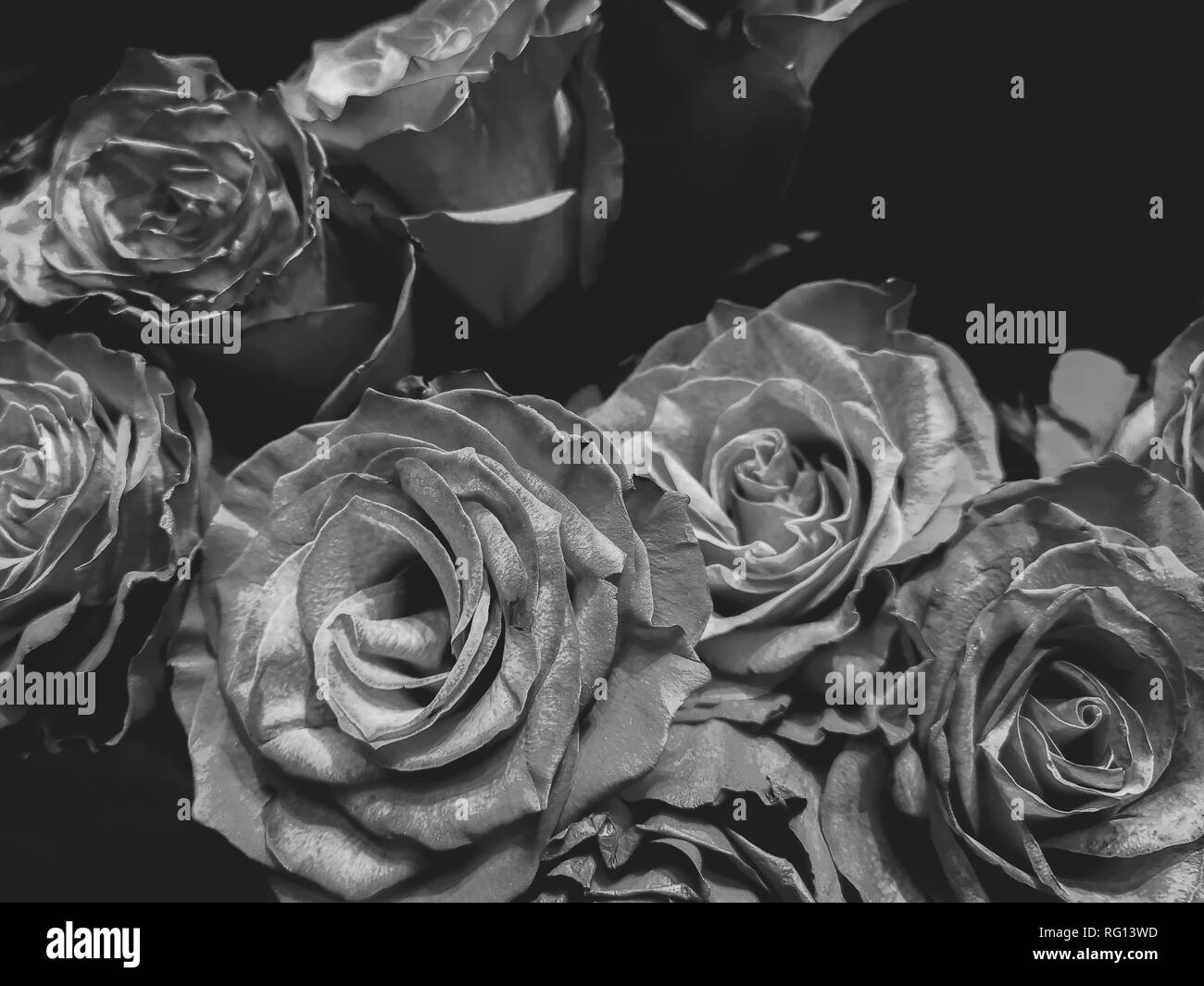 Amazing blossom Black and White Stock Photos & Images - Alamy