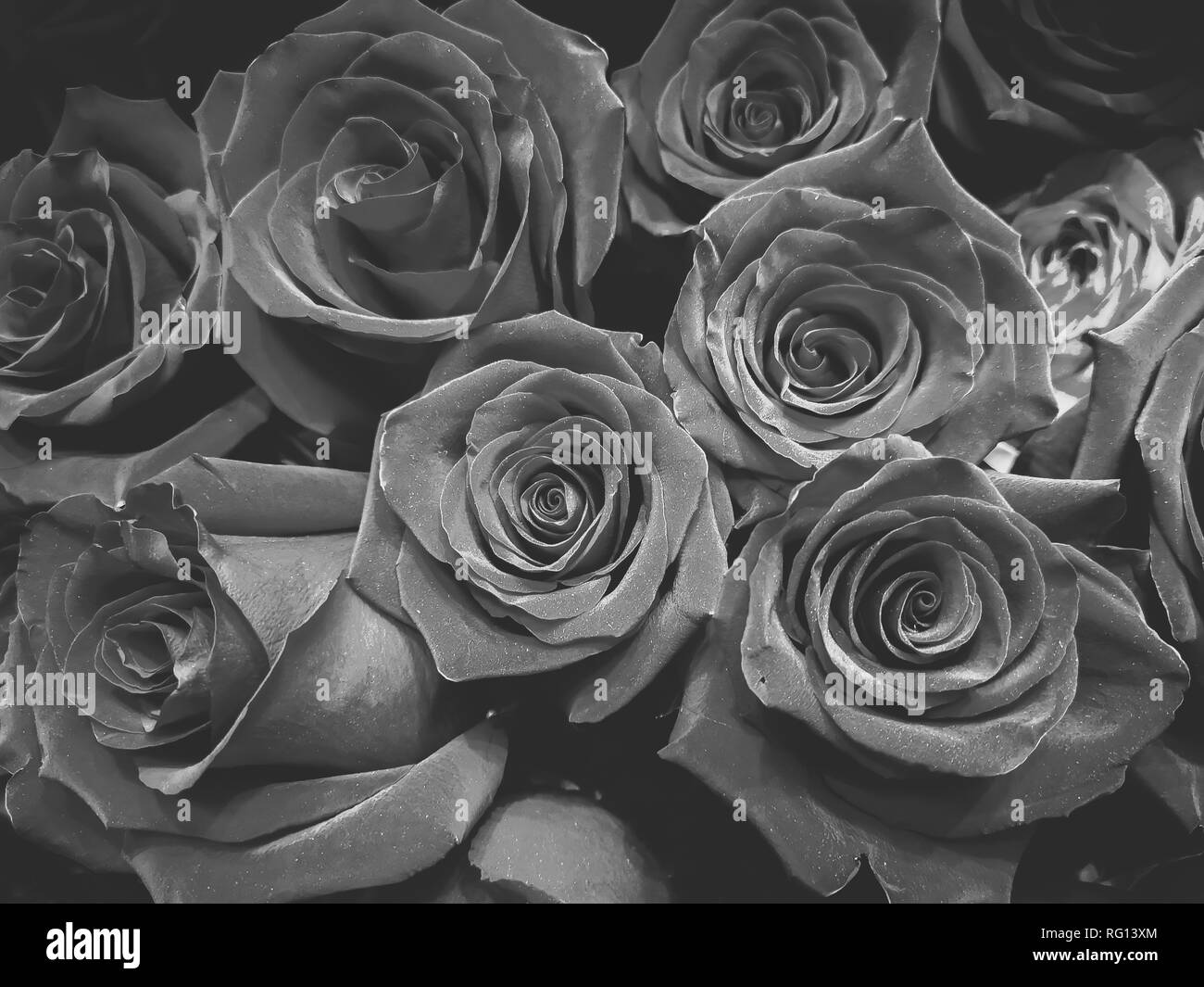 Amazing blossom Black and White Stock Photos & Images - Alamy