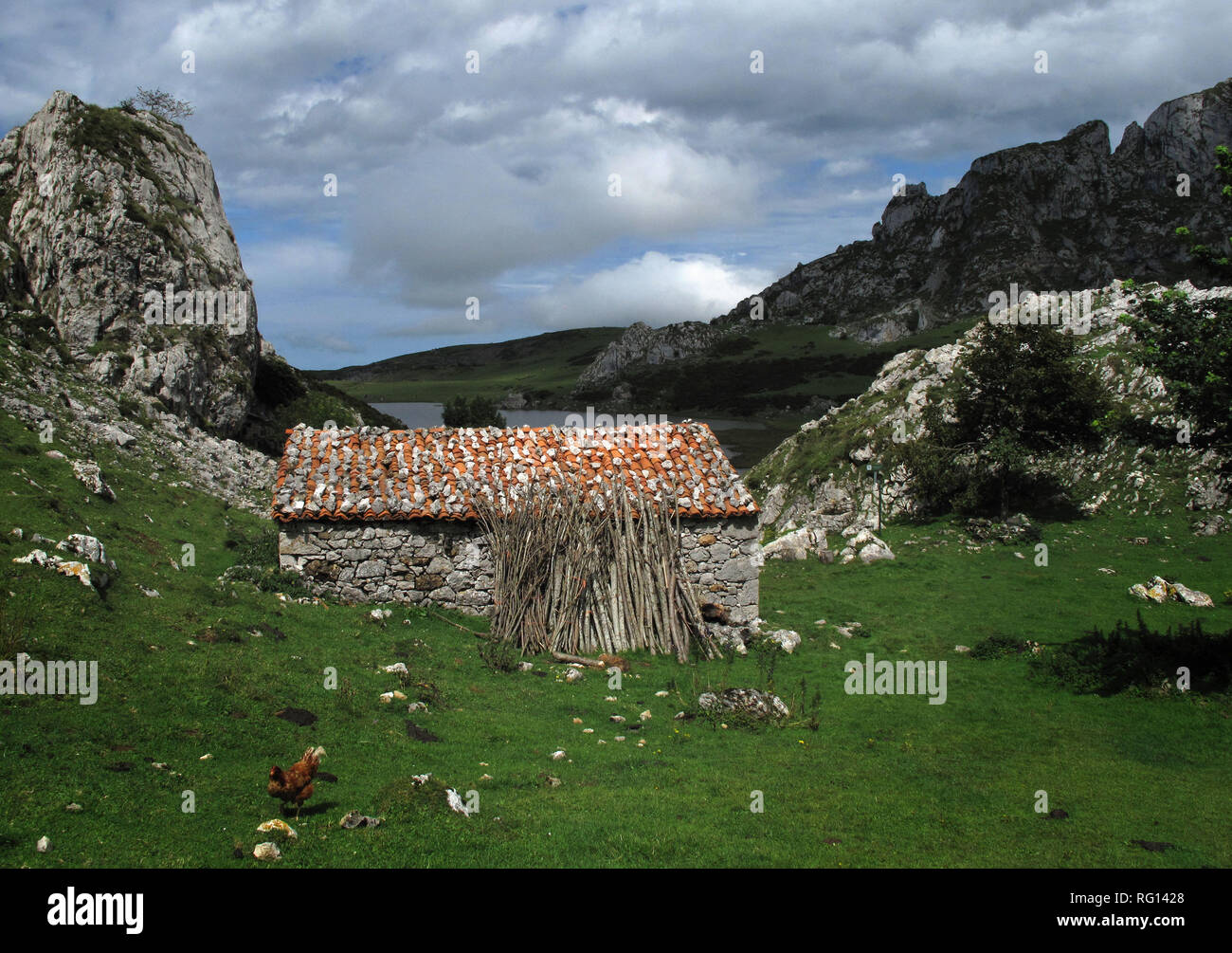 Farm chickens spain hi-res stock photography and images - Alamy