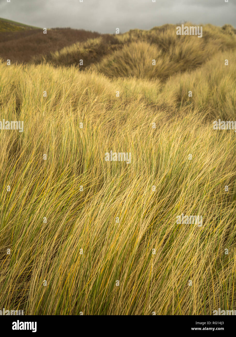 Devon system hi-res stock photography and images - Alamy
