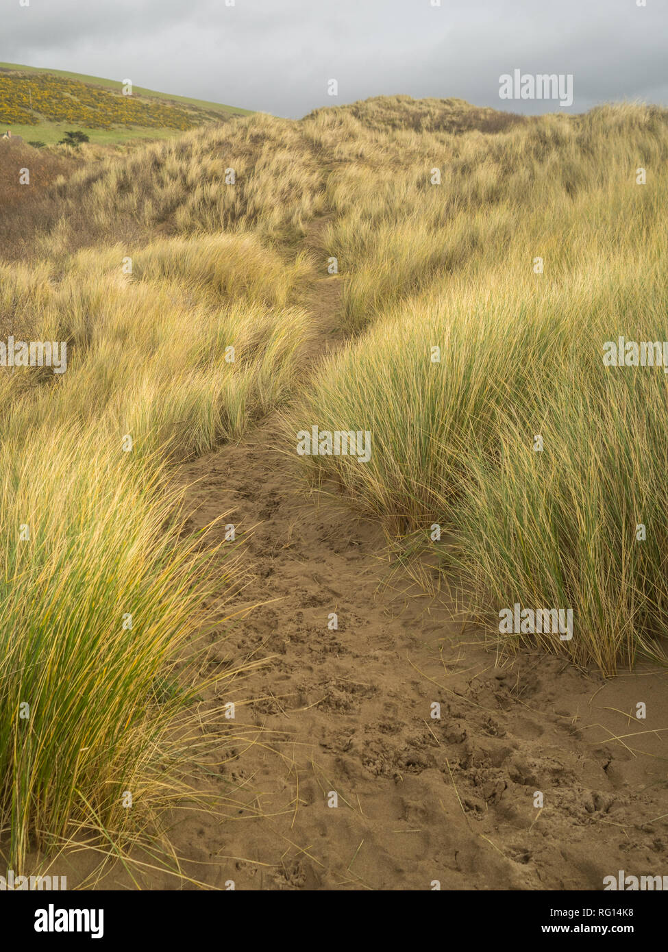 Devon system hi-res stock photography and images - Alamy