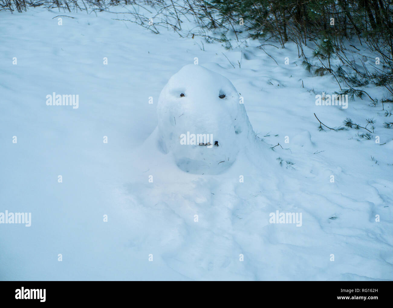 The snowman melted under the sun.Snowman melts under the sun Stock ...