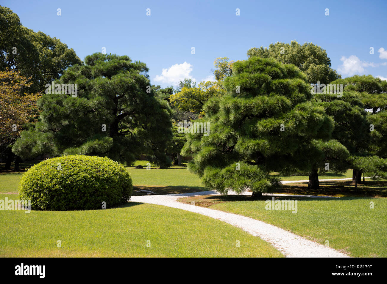 Grassy path through green fields, shrubs and trees in a garden Stock ...