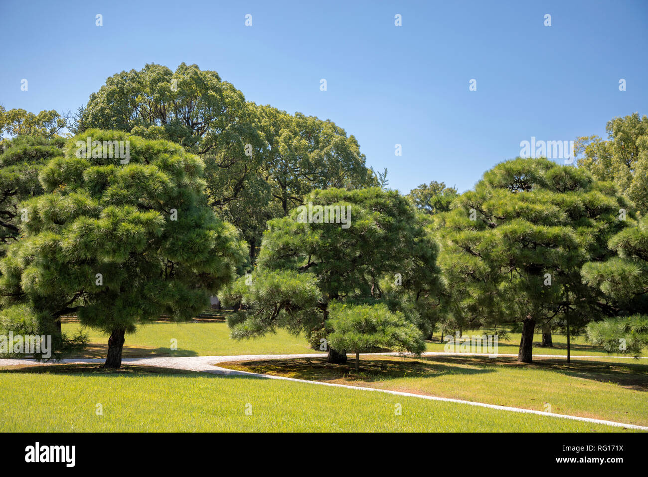 Grassy path through green fields, shrubs and trees in a garden Stock ...