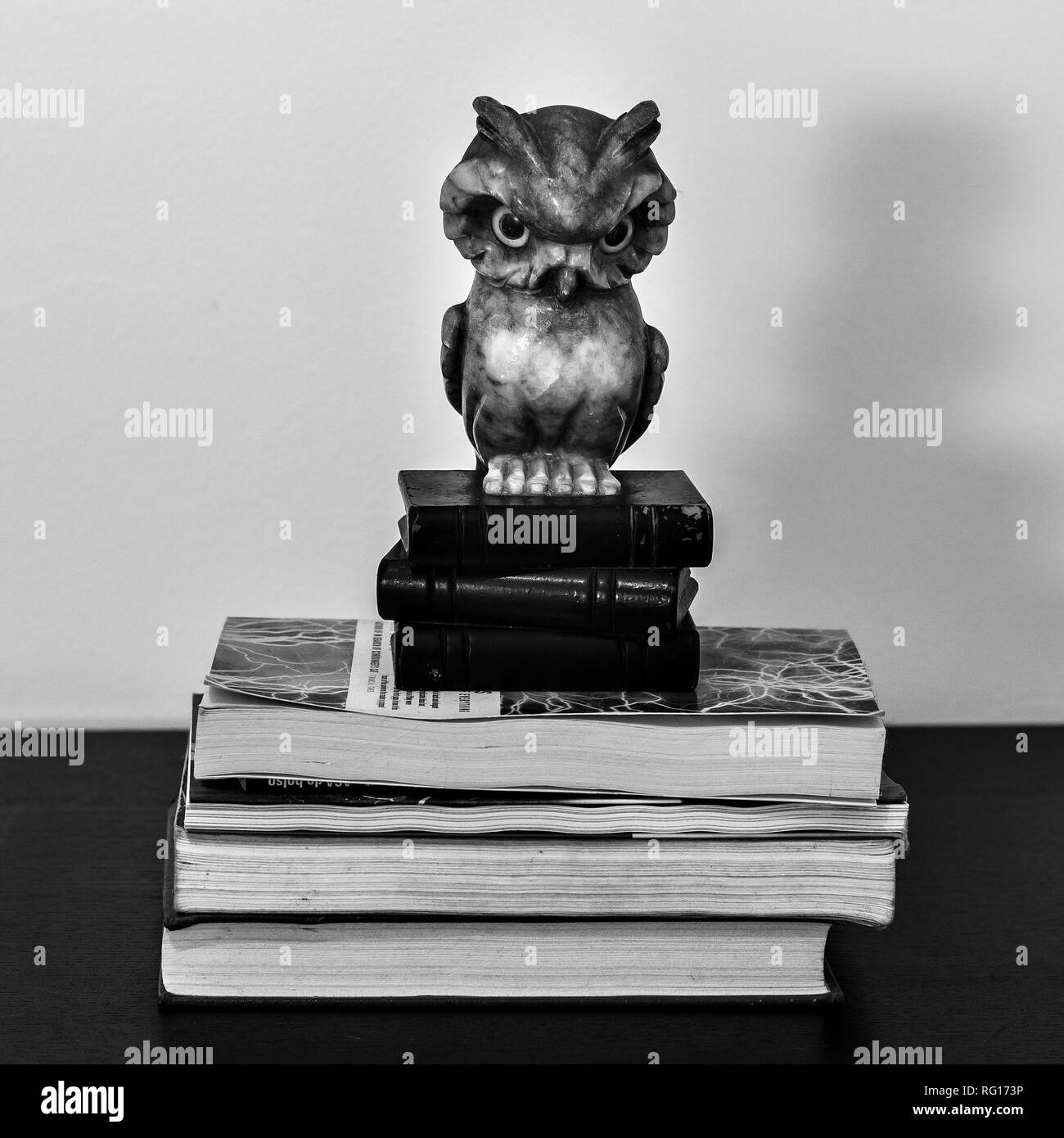 wise owl figurine, concept of wisdom, statue Stock Photo - Alamy