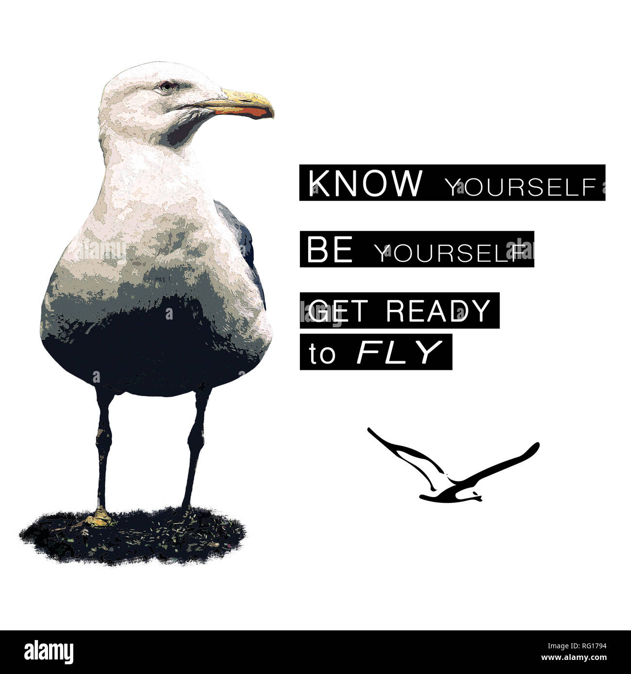 Know zen Cut Out Stock Images & Pictures - Alamy