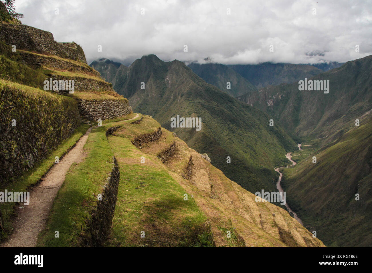 Panoramic view of Machu Picchu, the world famous ancient inca city, hidden in the cloud forest ...