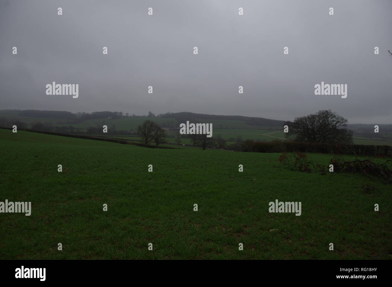 The Macmillan Way. Long-distance trail. Dorset. England. UK Stock Photo ...