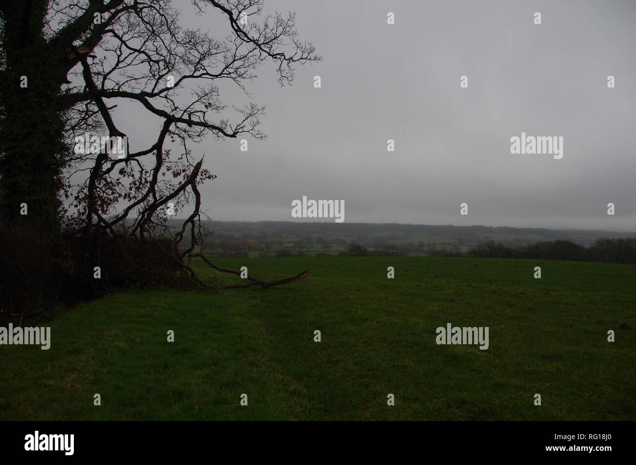 The Macmillan Way. Long-distance trail. Dorset. England. UK Stock Photo ...