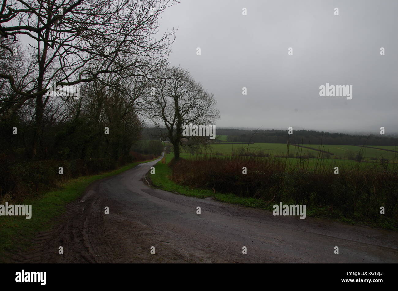The Macmillan Way. Long-distance trail. Dorset. England. UK Stock Photo ...