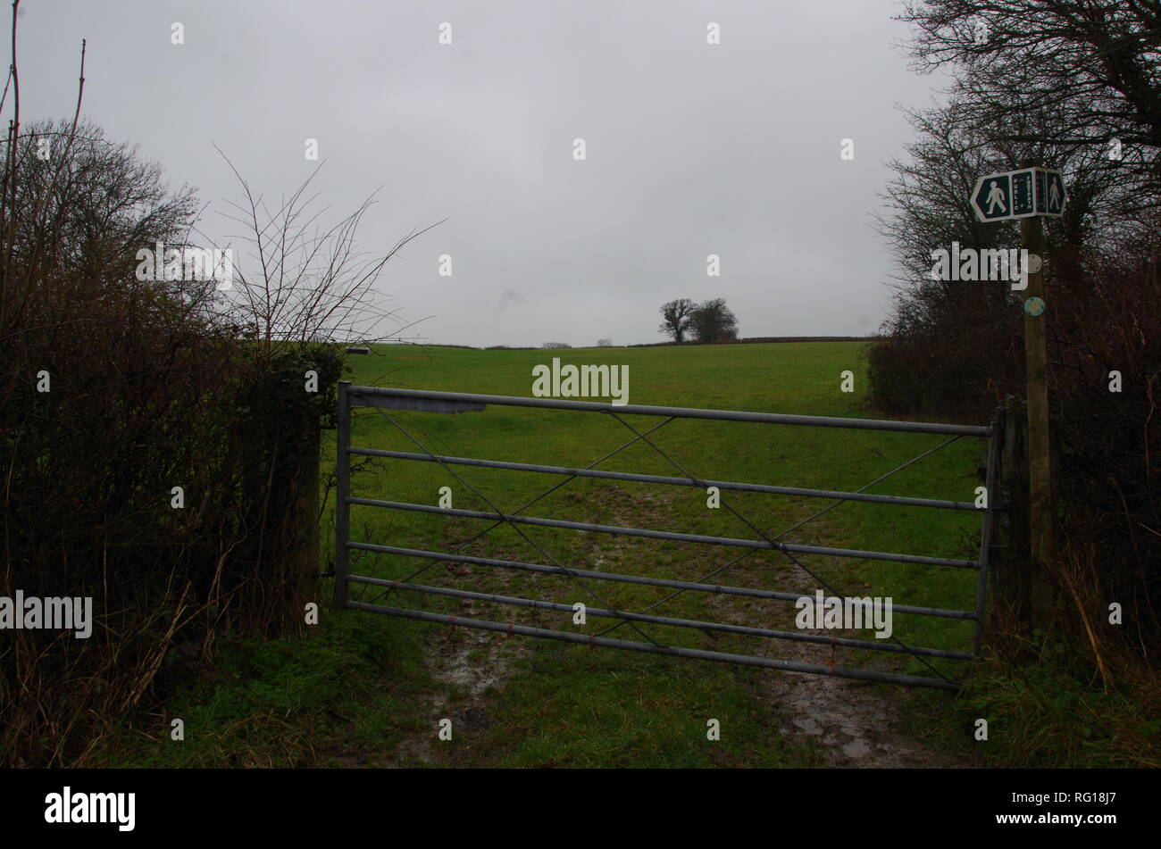 The Macmillan Way. Long-distance trail. Dorset. England. UK Stock Photo ...