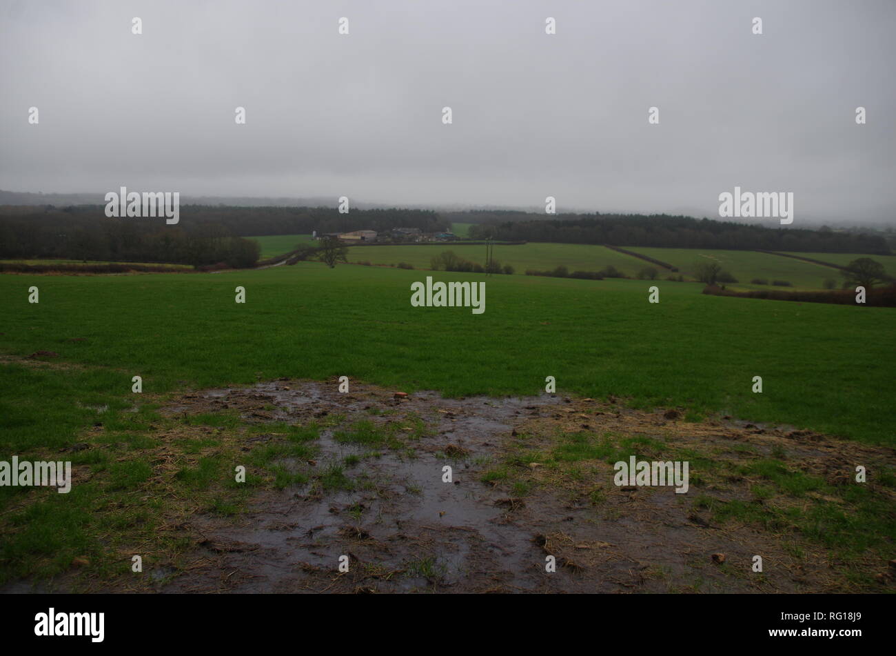 The Macmillan Way. Long-distance trail. Dorset. England. UK Stock Photo ...
