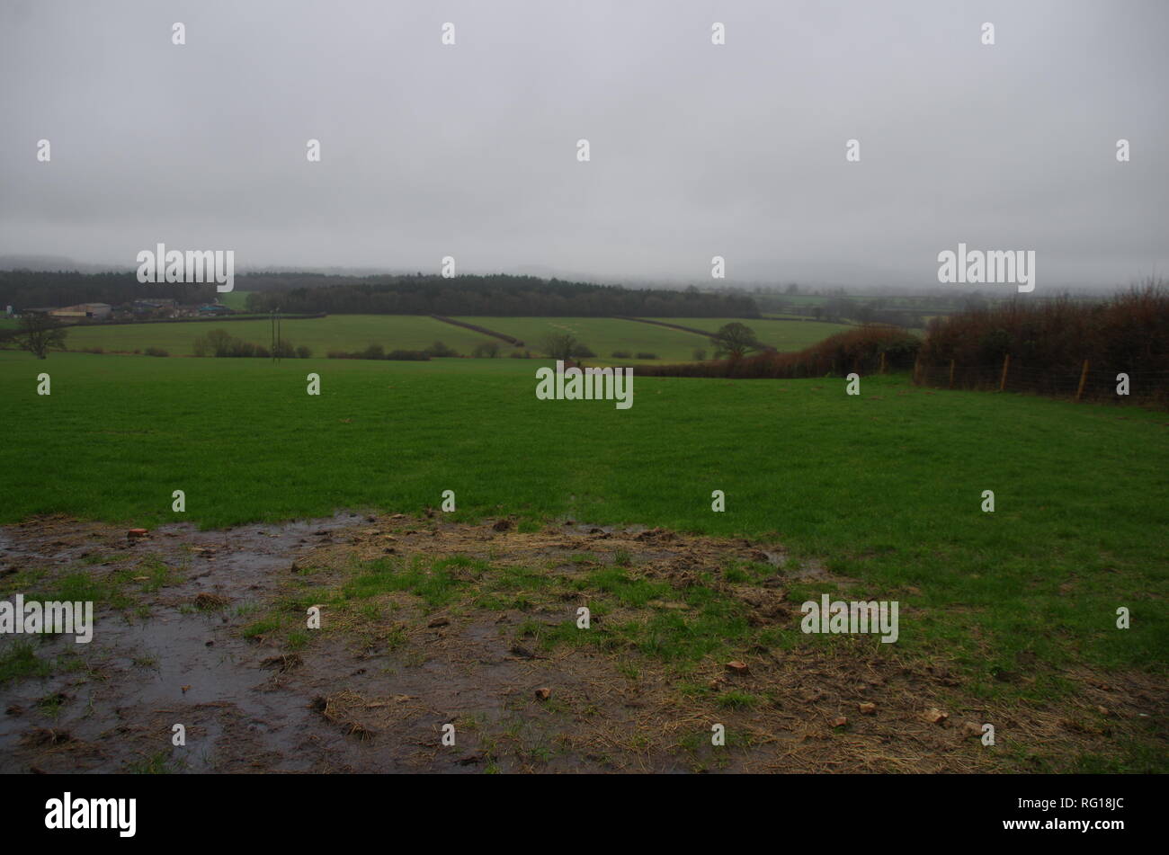 The Macmillan Way. Long-distance trail. Dorset. England. UK Stock Photo ...