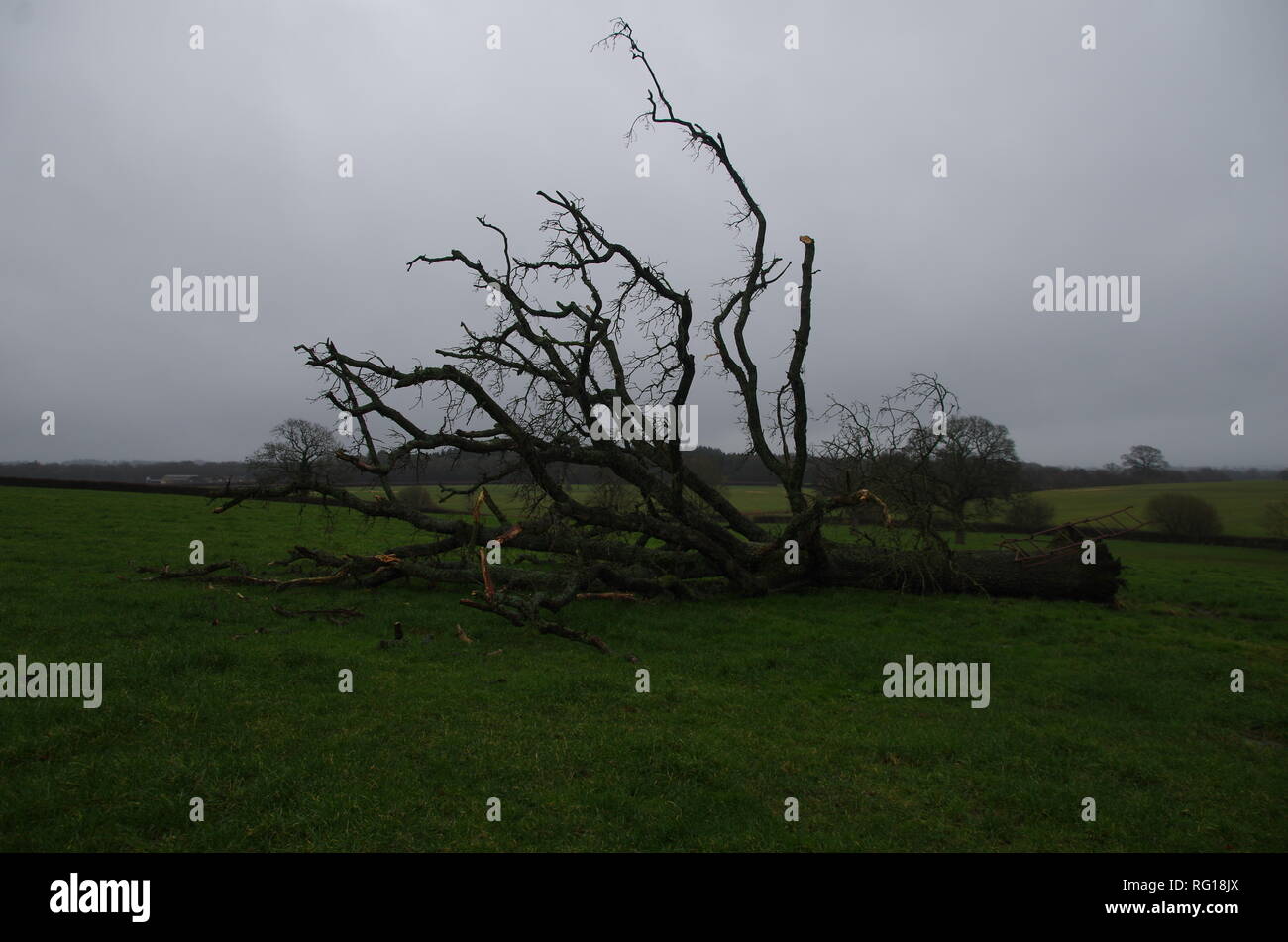 The Macmillan Way. Long-distance trail. Dorset. England. UK Stock Photo ...