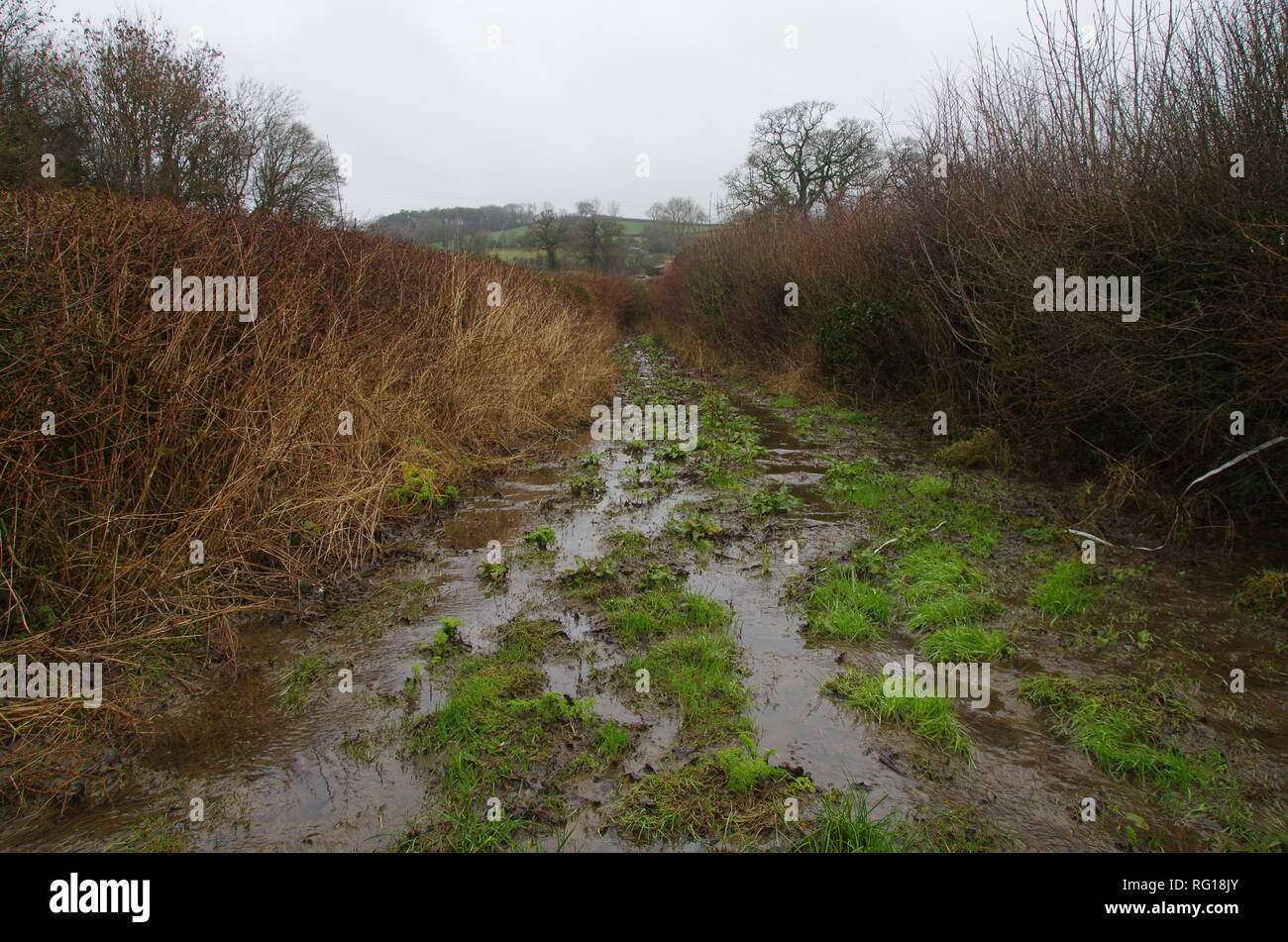 The Macmillan Way. Long-distance trail. Dorset. England. UK Stock Photo ...