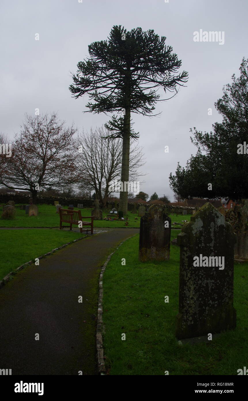 Yetminster. The Macmillan Way. Long-distance trail. Dorset. England. UK ...