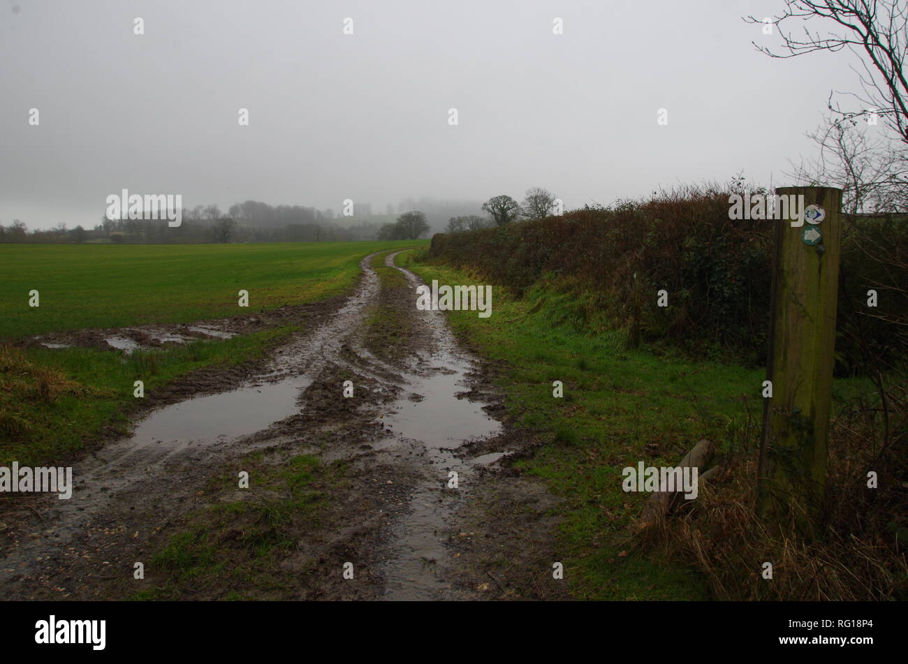 The Macmillan Way. Long-distance trail. Dorset. England. UK Stock Photo ...