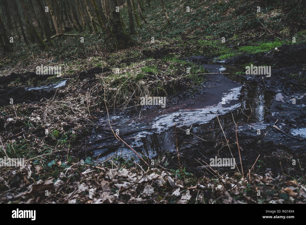 Wide face hi-res stock photography and images - Alamy