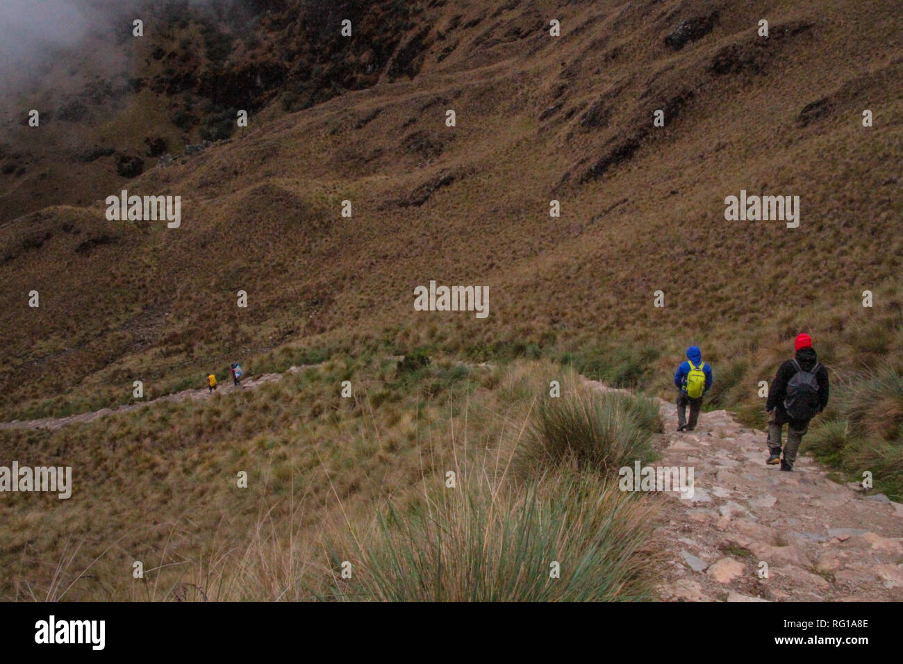 Breathtaking view of the andean landscape following the world famous ...