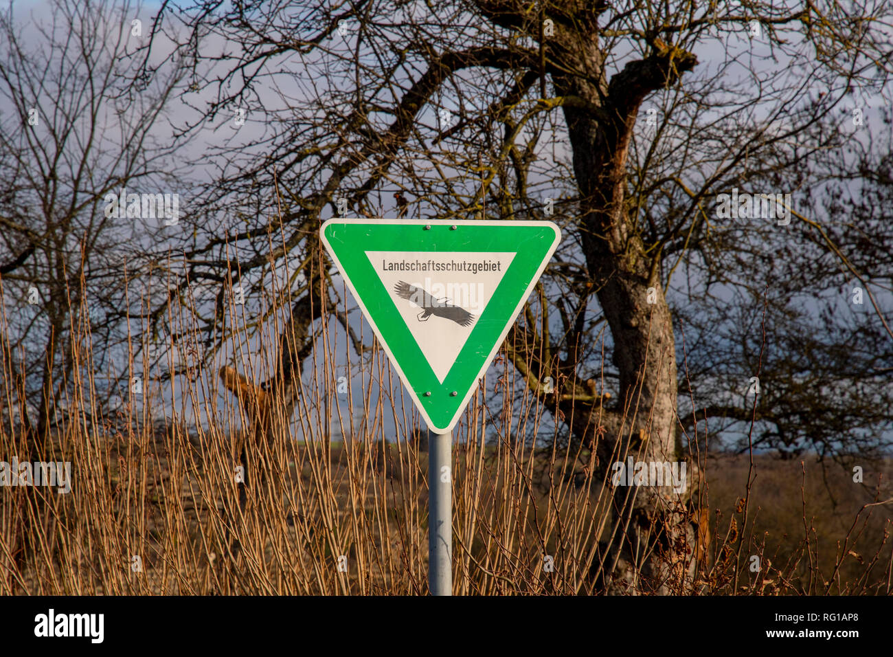 Shield with nature reserve in front of a tree Stock Photo - Alamy
