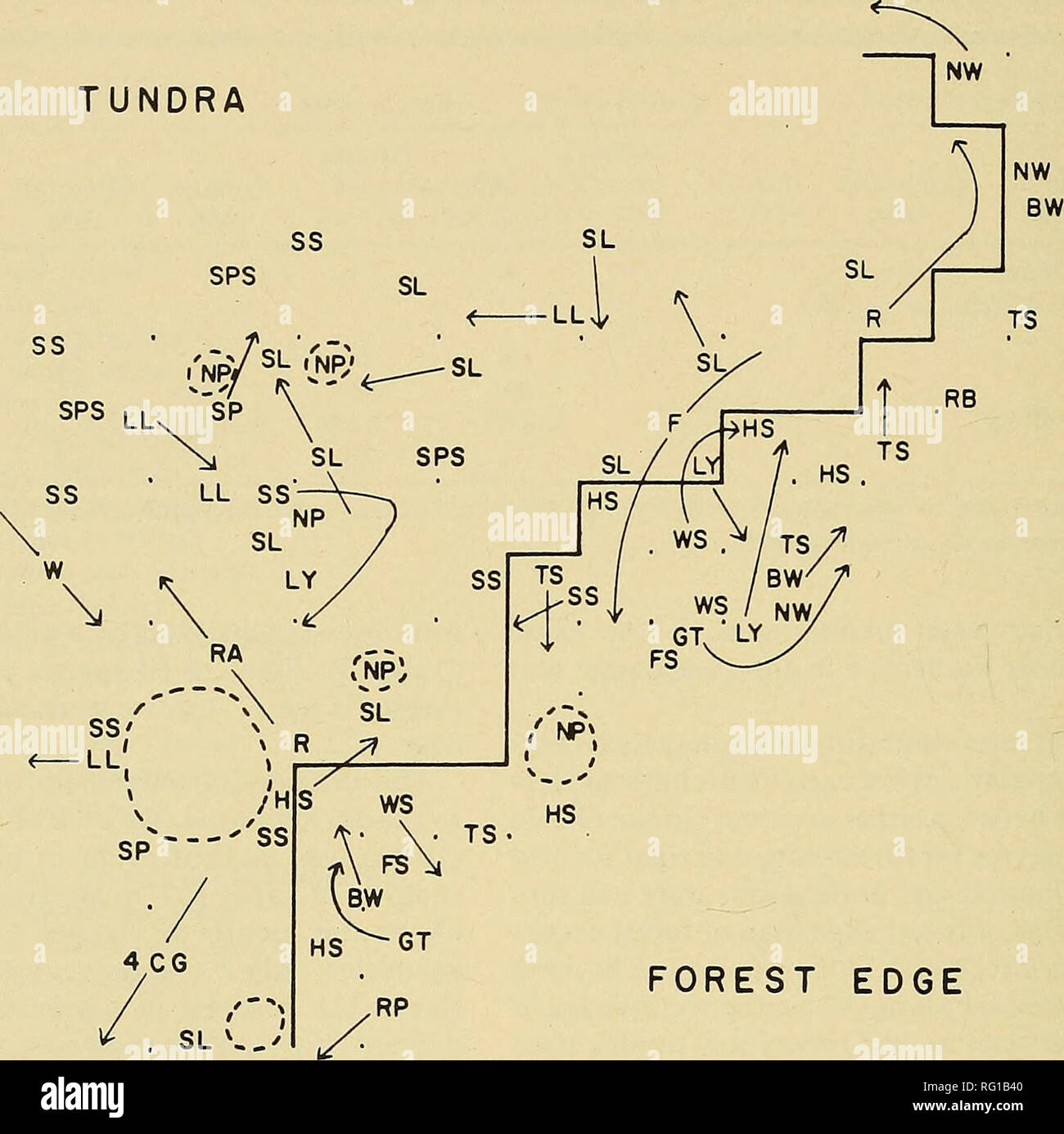 Ss robin gray hi-res stock photography and images - Alamy