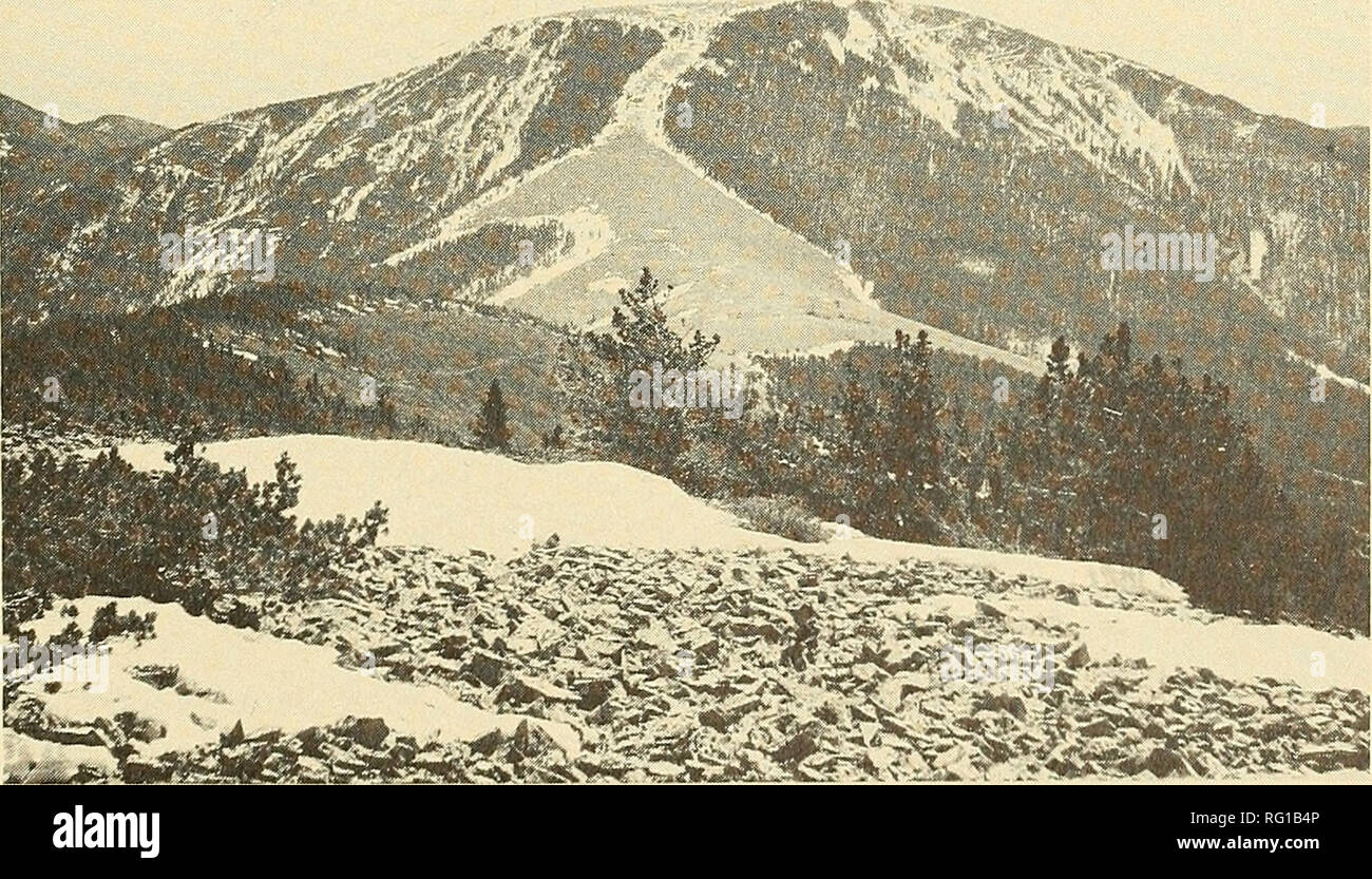 . The Canadian field-naturalist. 1976 Thompson and Kuijt: Relict ...