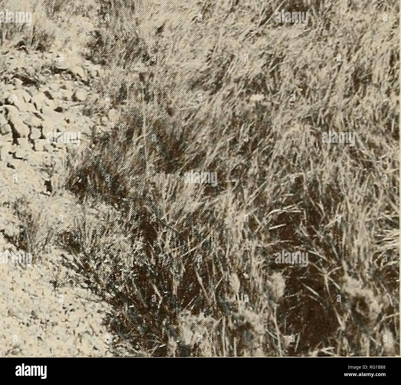 1983 401 2 hi-res stock photography and images - Alamy