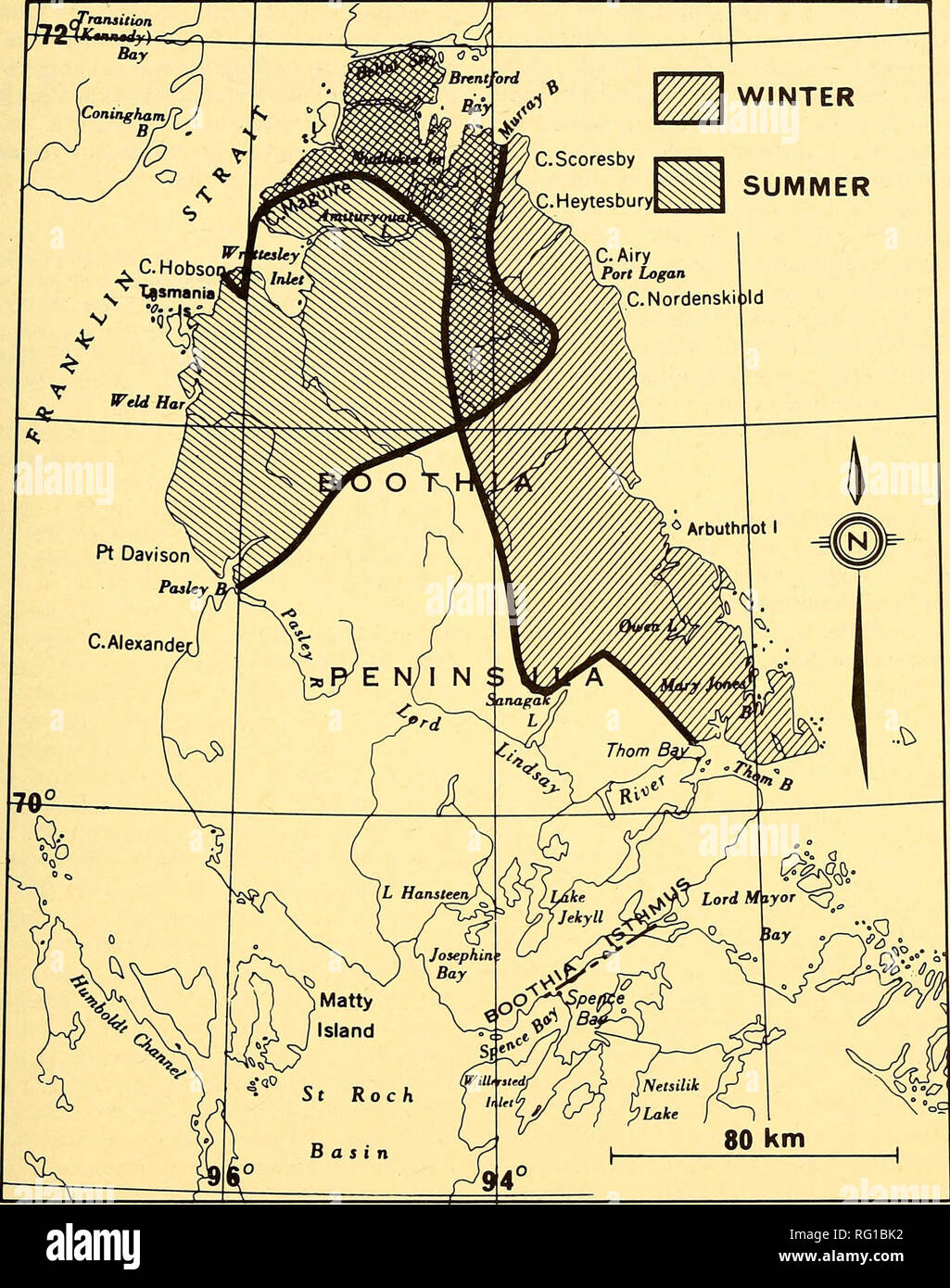 . The Canadian field-naturalist. 1980 Thompson and Fisher: Caribou on ...