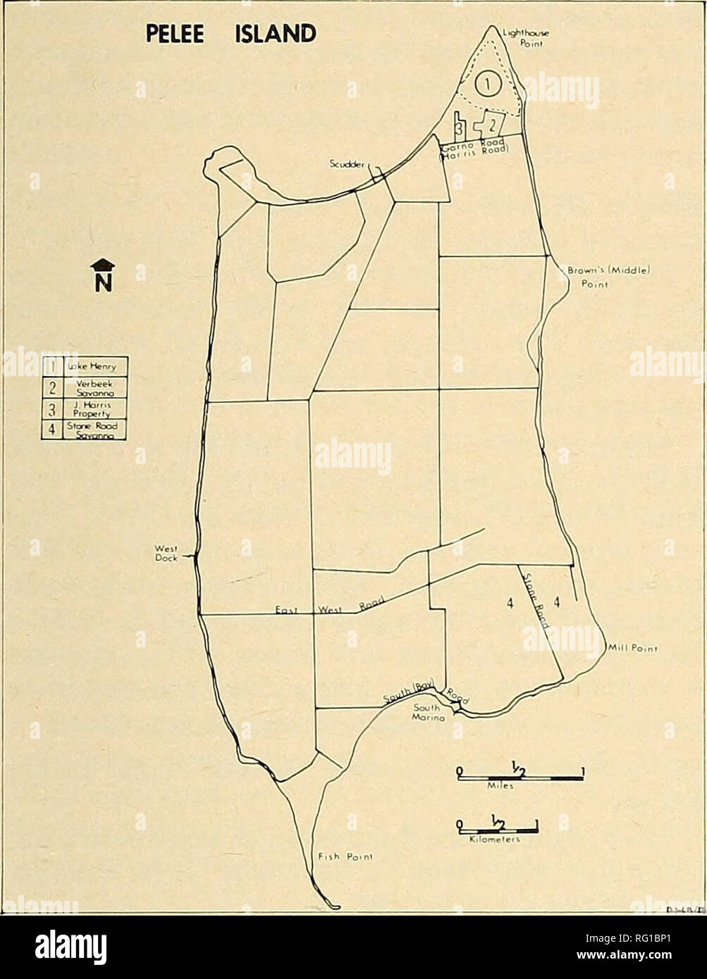 . The Canadian field-naturalist. 1977 Campbell and Reznicek: Vascular ...