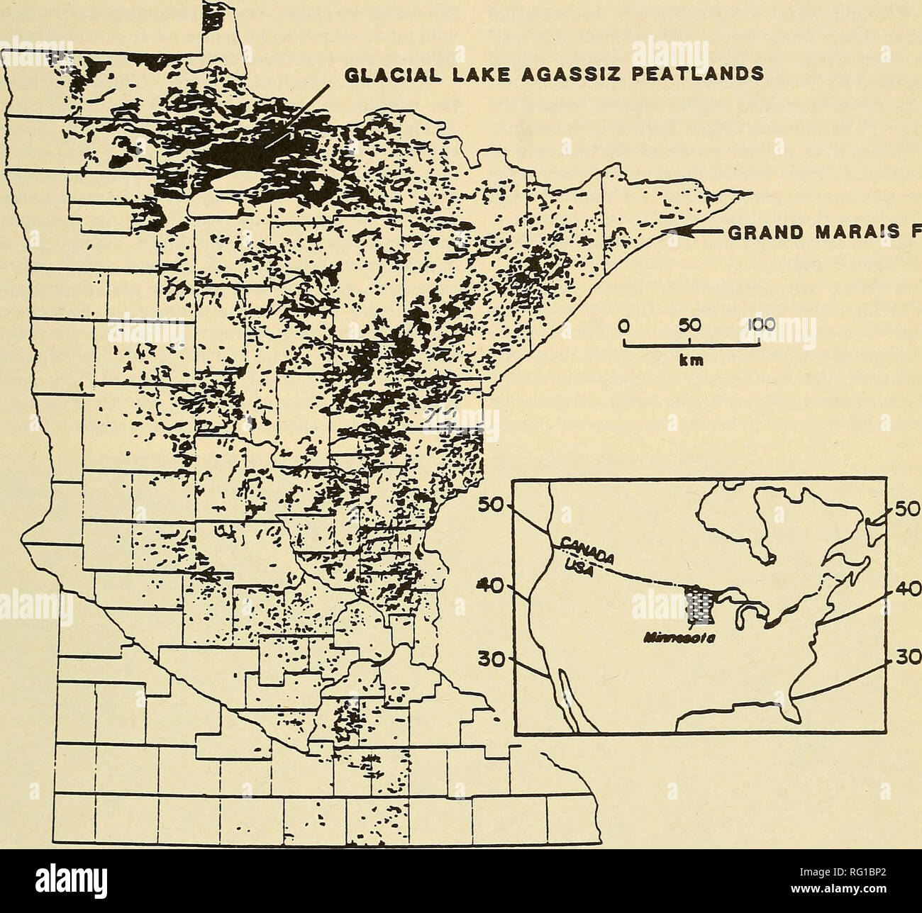 . The Canadian field-naturalist. 1983 Glaser: a Patterned Fen in ...
