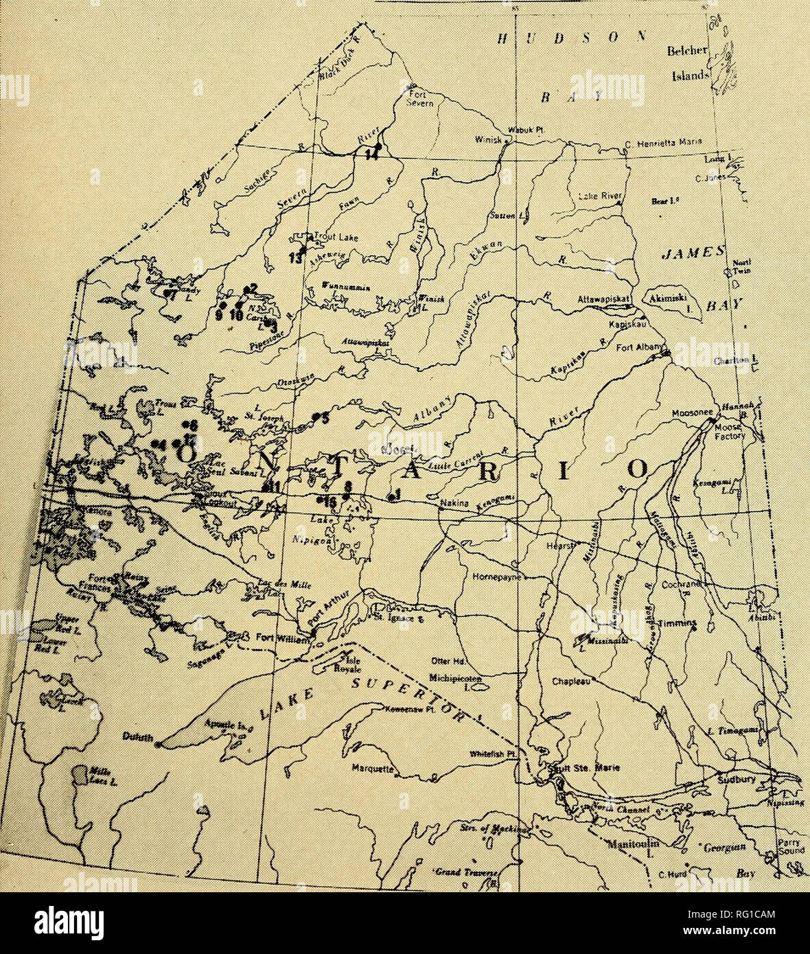 . The Canadian field-naturalist. 1966 Simkin; Extralimital Raccoons 145 ...