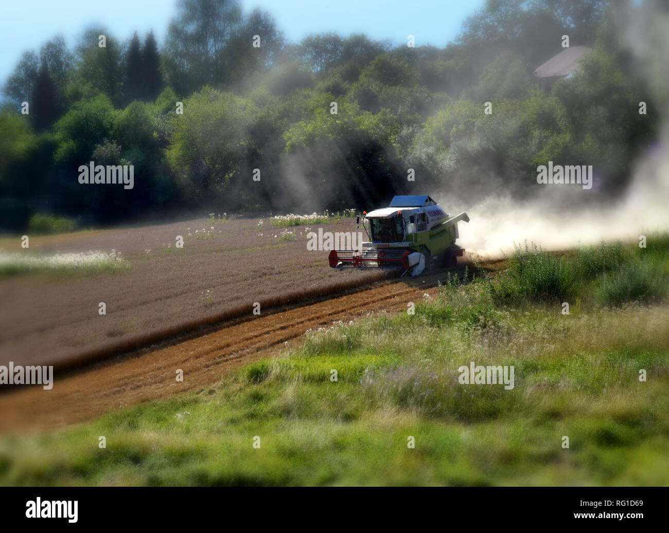 harvester field farmer summer crop machine agriculture construction ...