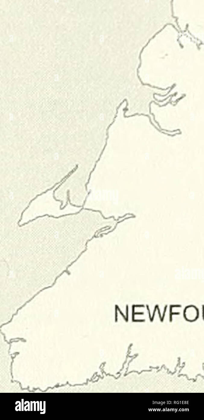 Innu newfoundland hi-res stock photography and images - Alamy