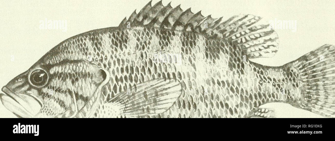 Duane raver hi-res stock photography and images - Alamy