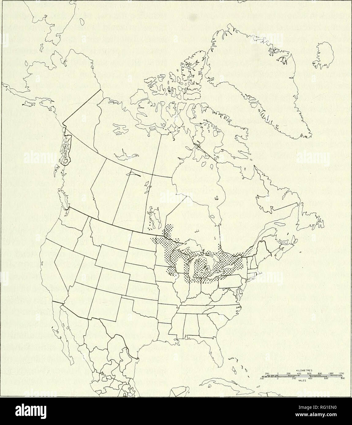 . The Canadian field-naturalist. 1996 Houston: Status of the Blackchin ...