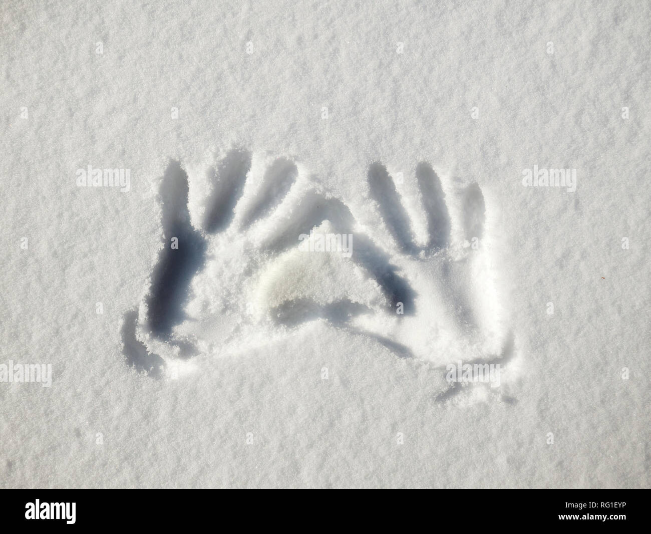 Handprint on snow. imprint hands on snow Stock Photo - Alamy