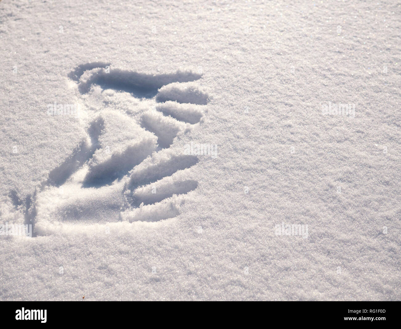 Handprint on snow. imprint hands on snow Stock Photo - Alamy