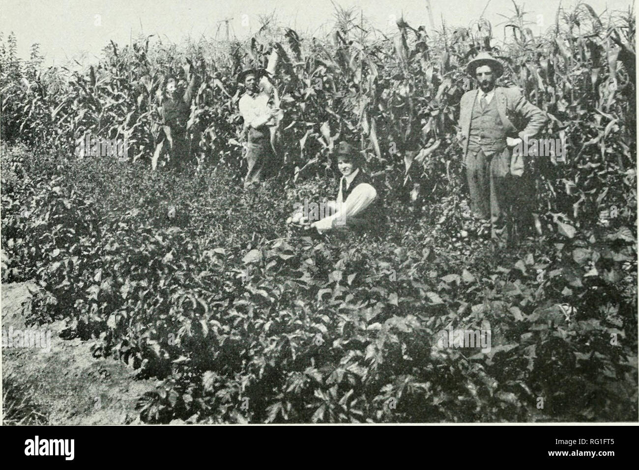 East angus quebec hi-res stock photography and images - Alamy